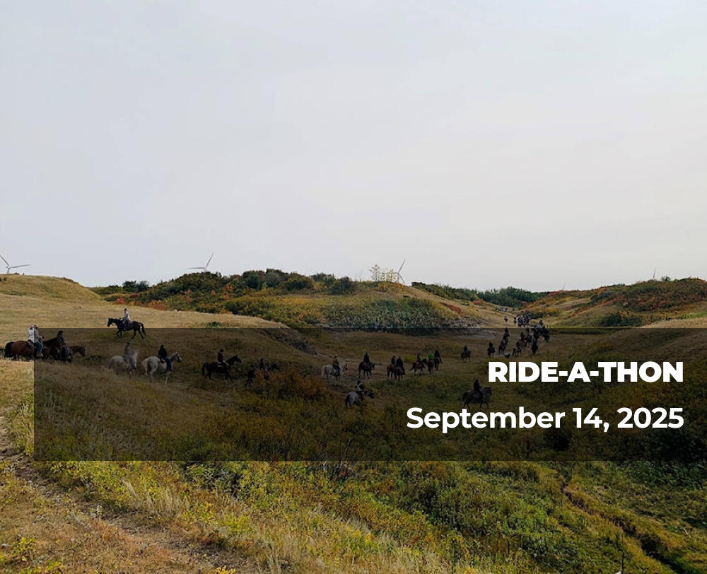 Projects – InterVarsity Circle Square Ranch, Halkirk