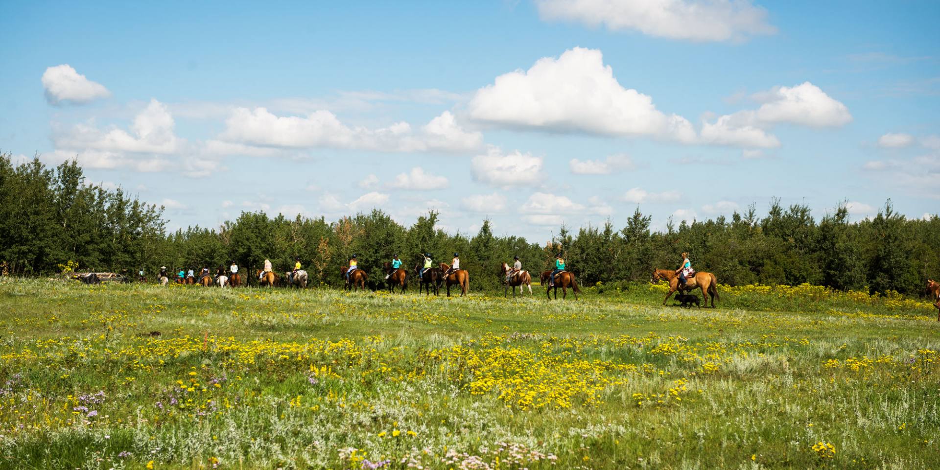 InterVarsity Circle Square Ranch Halkirk – Old – InterVarsity Circle ...
